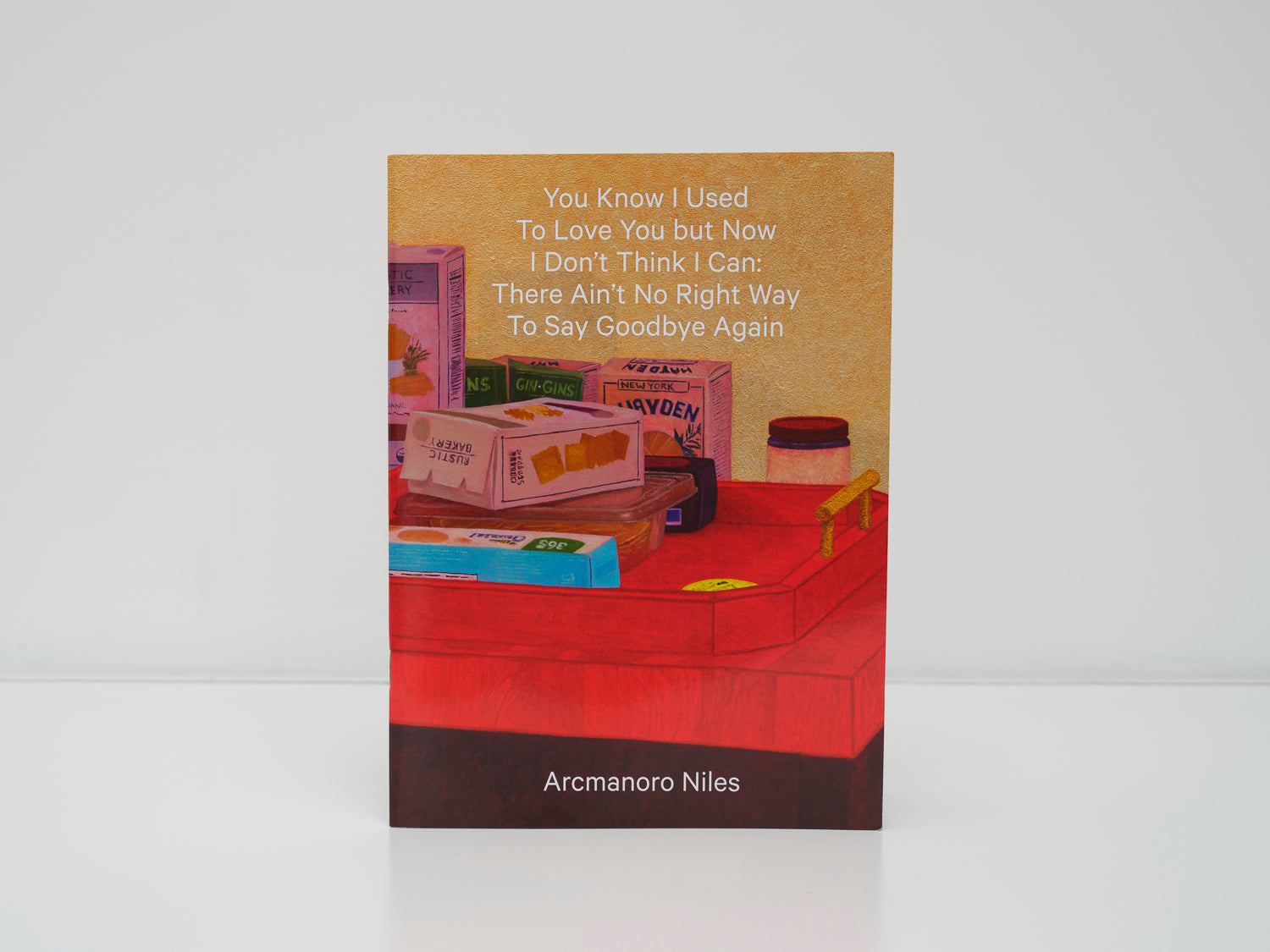 Books – Lehmann Maupin